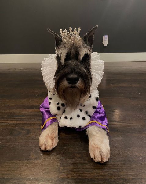All Hail Princess Fiona!